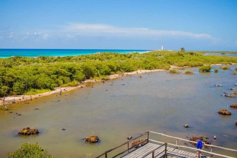 Cozumel: Private Buggy Tour to Punta Sur Park All Inclusive - What You Can Expect: An Itinerary Packed with Highlights