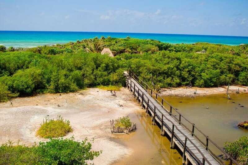Cozumel: Private Buggy Tour to Punta Sur Park All Inclusive - FAQ Section
