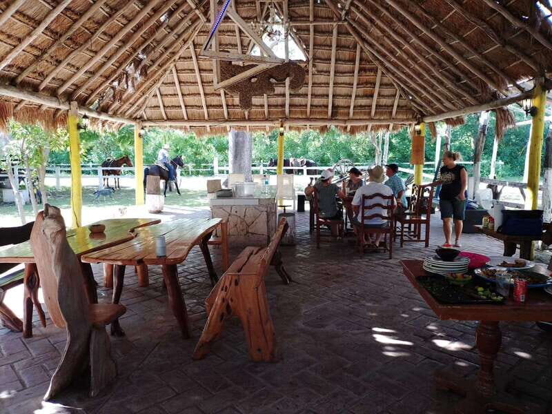 Cozumel: Private Caves and Ruins Tour with Lunch 5 Hours - Final Thoughts: Who is This Tour Best For?