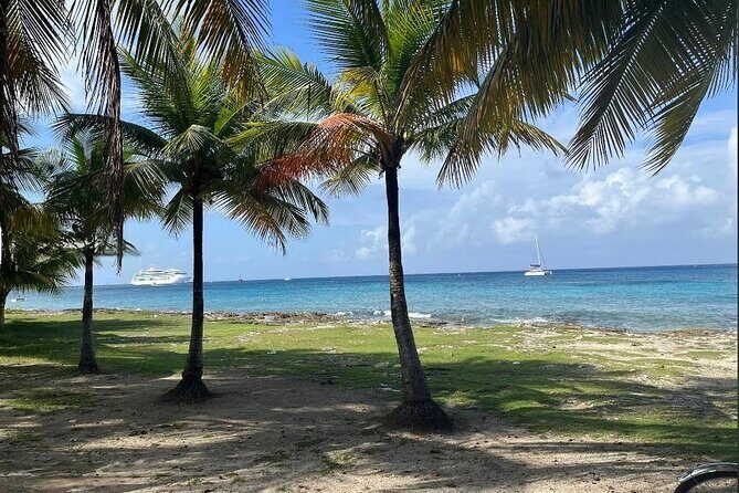 Cozumel: Private Jeep Tour, Mayan Ruins, Snorkeling & Lunch - The Sum Up