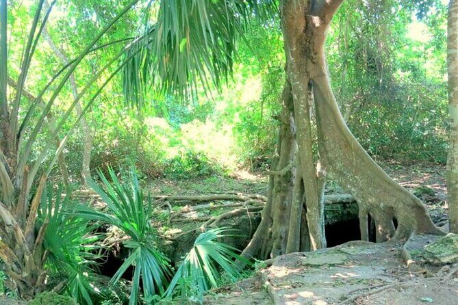 Cozumel: Private Jeep Tour, Mayan Ruins, Snorkeling & Lunch - FAQs