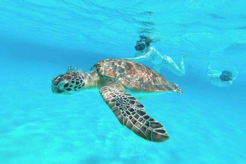 Cozumel: Private Snorkel Tour El Cielo + 3 Reefs Food Drinks - An Authentic Cozumel Underwater Adventure