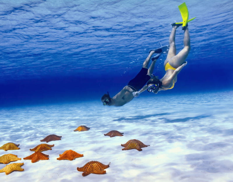 Cozumel: Private Snorkel Tour El Cielo + 3 Reefs Food Drinks - Who Should Skip This Tour?