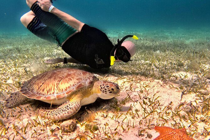 Cozumel Private Snorkeling and Charter Experience - A Look at What You Can Expect