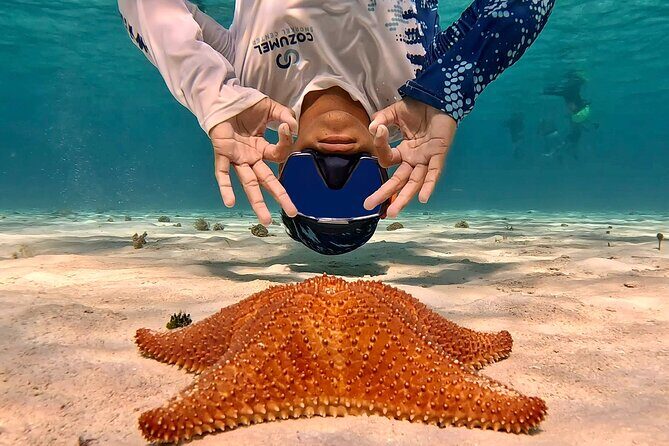 Cozumel Private Snorkeling and Charter Experience - Final Thoughts