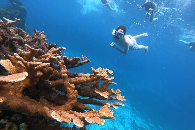 Cozumel Private Snorkeling, Fishing & El Cielo Charter - Setting Sail: The Itinerary in Detail