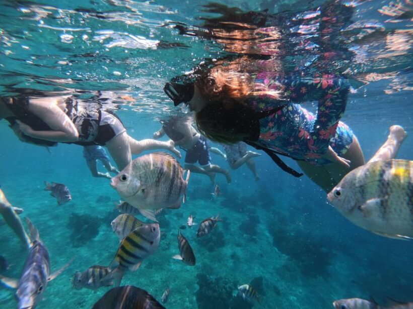 Cozumel: Private VIP Glass Bottom-Boat and Snorkeling Tour - The Sum Up
