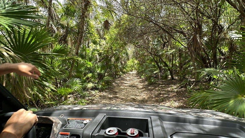 Cozumel: Private Xrail Buggy Adventure to Virgin Beach - The Optional Bee Farm Visit