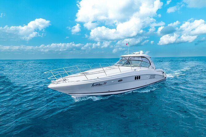 Cozumel Private Yacht and Snorkel with Lunch and Open Bar Onboard - The Sum Up