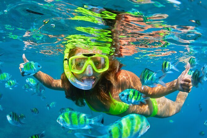 Cozumel Reef Snorkeling Tour - Final Thoughts
