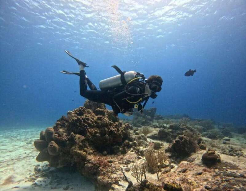 Cozumel Scuba Diving: 2 Tanks in the National Park for certified divers - Who Will Love This Tour?