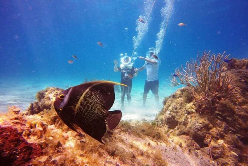 Cozumel: Sea Trek Adventure at Chankanaab National Park - The Practical Details