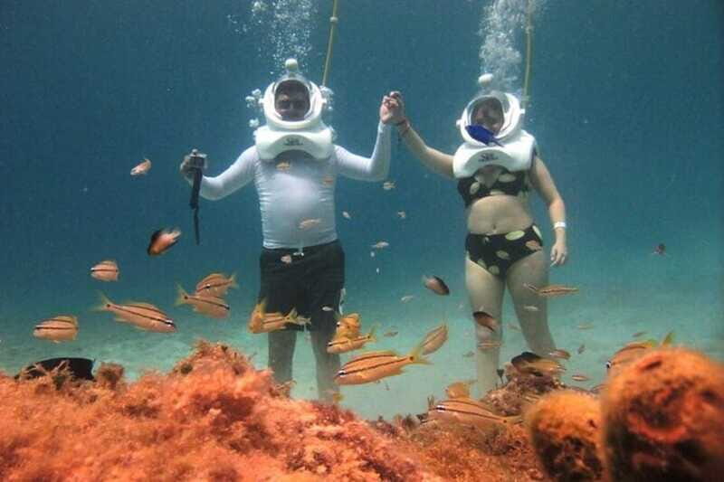 Cozumel: Sea Trek Adventure at Chankanaab National Park - What the Reviews Say