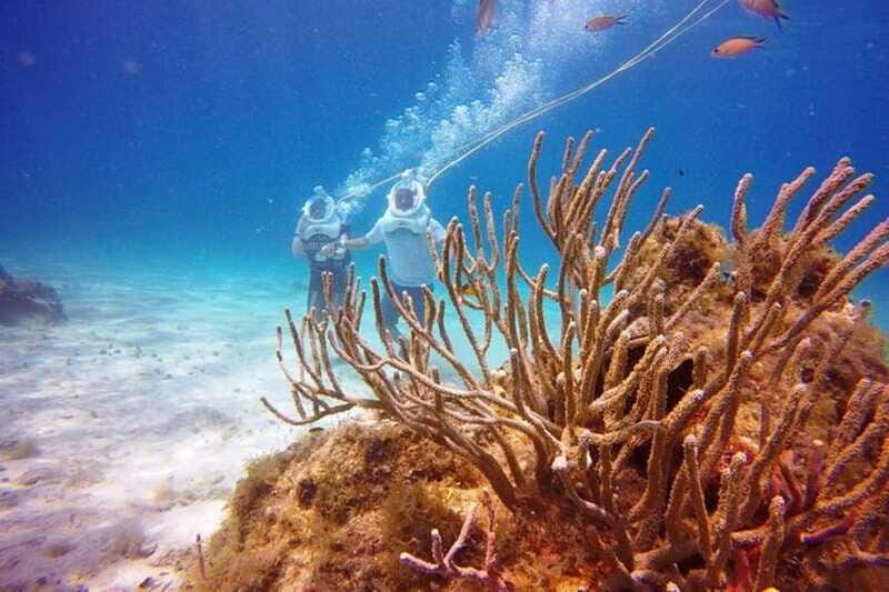 Cozumel: Sea Trek Adventure at Chankanaab National Park - Final Thoughts: Is It Worth It?