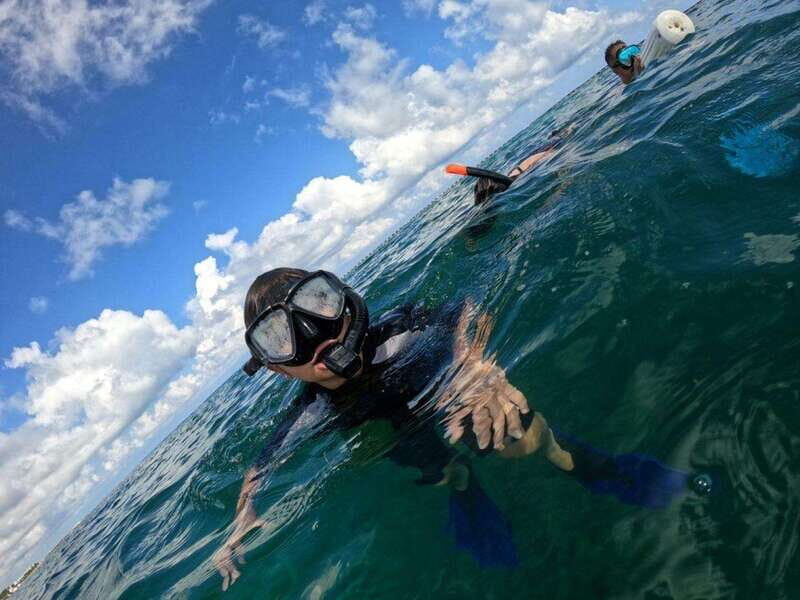 Cozumel: Shipwreck and Reef Dive with Lunch - An In-Depth Look at the Cozumel Shipwreck and Reef Tour