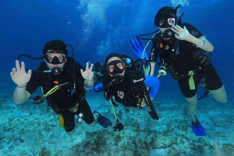 Cozumel: Shipwreck and Reef Dive with Lunch - FAQs