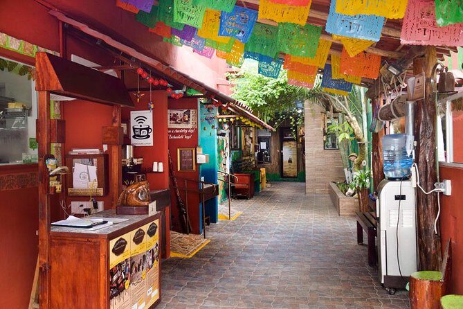 Cozumel Shore Excursion: 5-Hour Sightseeing Tour with Private Driver - Transportation & Timing