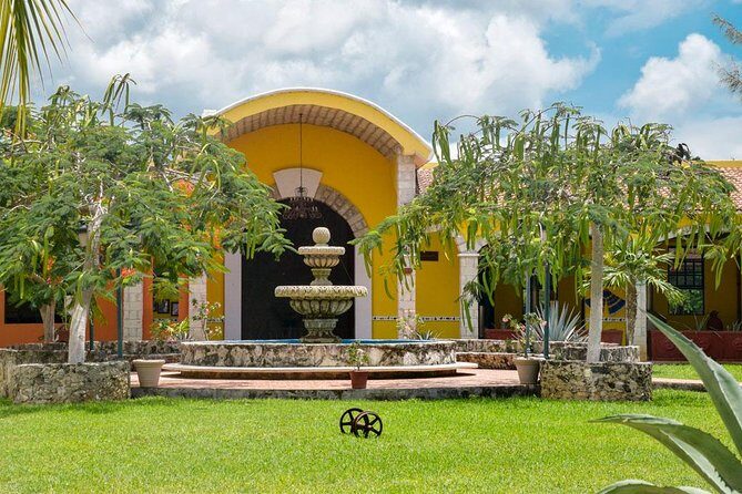 Cozumel Shore Excursion: 5-Hour Sightseeing Tour with Private Driver - Price and Value