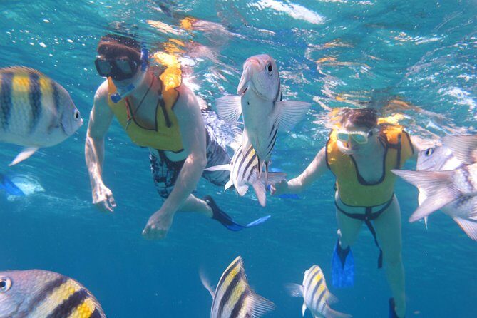 Cozumel Shore Excursion: Playa Uvas Private Beach Pass - Final Thoughts: Is This Tour Right for You?