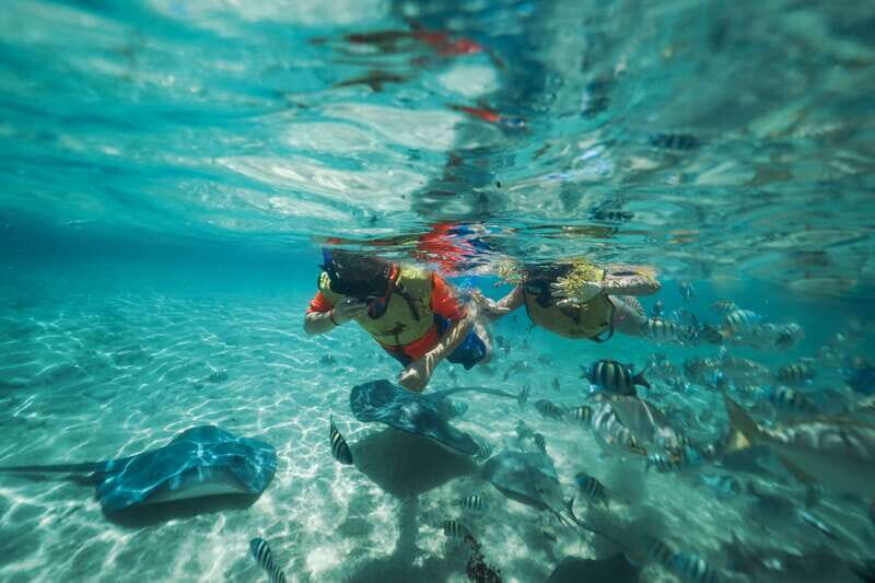 Cozumel: Snorkel and Swim with Stingrays - An In-Depth Look at the Cozumel Stingray Tour