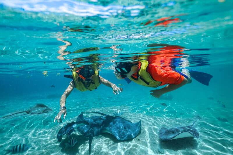 Cozumel: Snorkel and Swim with Stingrays - Final Thoughts