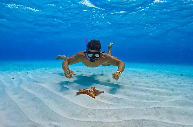 Cozumel: Snorkel at El Cielo, Colombia Reef & Palancar Reef - Frequently Asked Questions (FAQs)