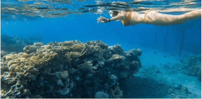 Cozumel: Snorkeling Adventure - The Practicalities: Transportation, Timing, and Group Size
