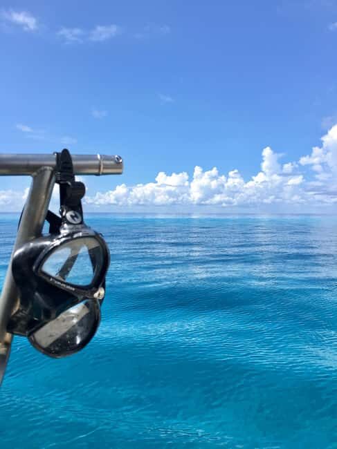 Cozumel: Snorkeling Boat Tour - Who Might Be Less Satisfied?