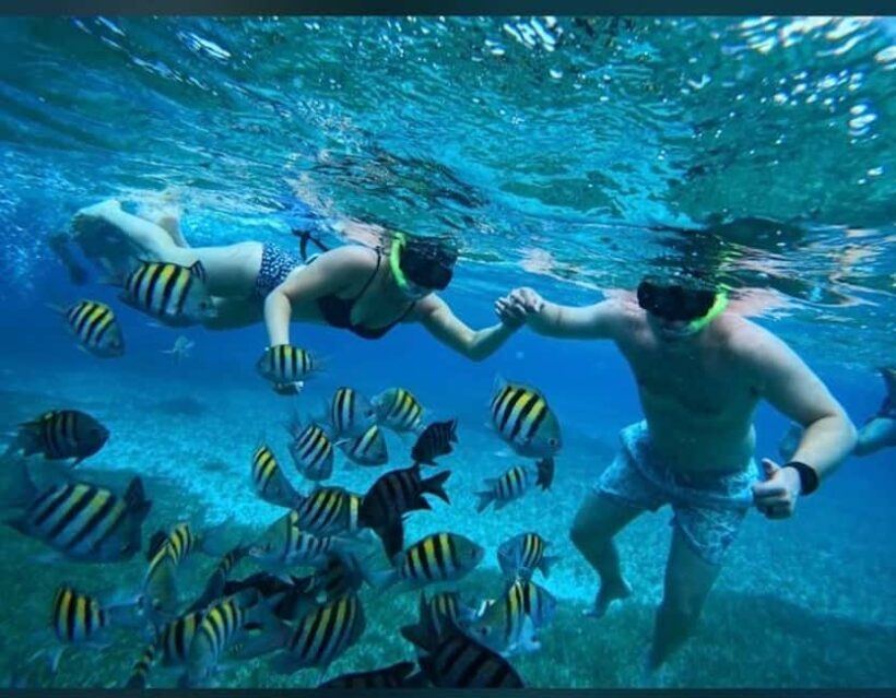 Cozumel: snorkeling on reefs + visit to "El Cielo" - Key Points