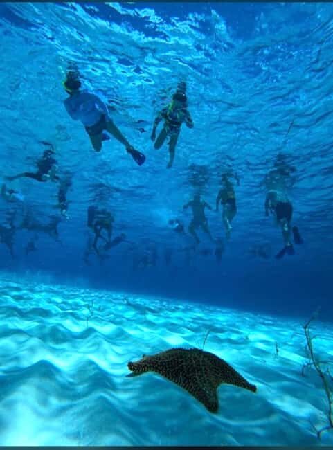 Cozumel: snorkeling on reefs + visit to "El Cielo" - The Experience: A Deep Dive into the Tour