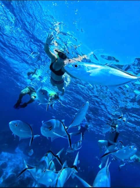 Cozumel: snorkeling on reefs + visit to "El Cielo" - The Realities: Pros and Cons