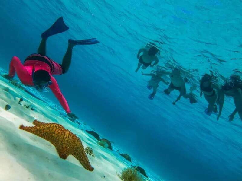 Cozumel: snorkeling on reefs + visit to "El Cielo" - Who Should Consider This Tour?