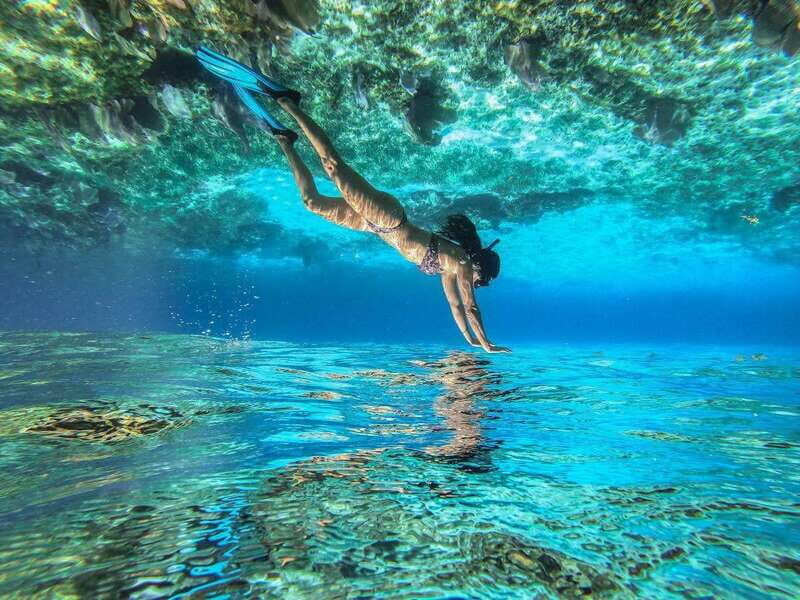 Cozumel: Snorkeling Tour at El Cielo Beach - What to Expect from the Tour