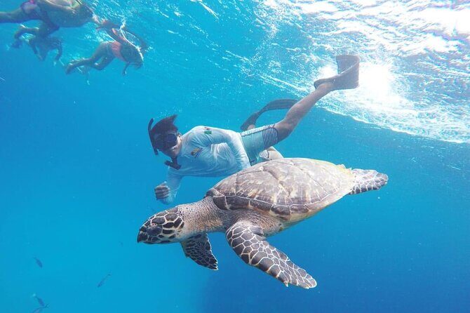 Cozumel Snorkeling Tour: Palancar, Columbia and El Cielo Reefs - What Travelers Say: Authentic Experiences and Practical Tips
