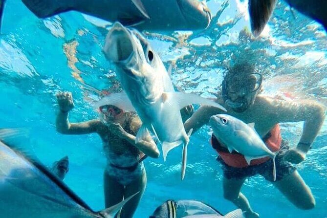 Cozumel Snorkeling Tour: Palancar, Columbia and El Cielo Reefs - FAQ