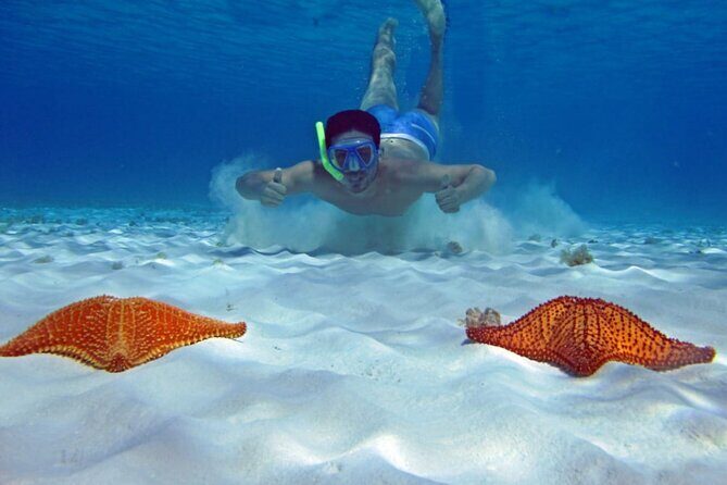 Cozumel Snorkeling Tour to Palancar Reef and El Cielo - Diving Into the Details: What to Expect