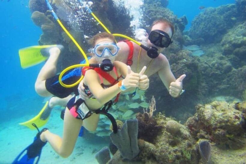 Cozumel: SNUBA Cozumel Underwater Adventure - Marine Life and Underwater Environment