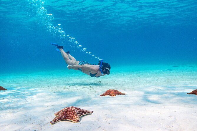 Cozumel Starfish and Tropical Reef Snorkeling by Powerboat with Lunch - FAQs