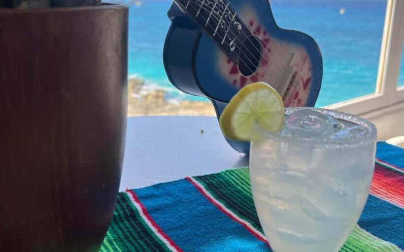 Cozumel: The Original Salsa & Salsa - Who Should Consider This Tour?