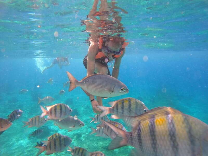 Cozumel: Transparent Boat Tour with Snorkeling and 2 Beers, Clear Boat - The Sum Up: Why This Tour Stands Out