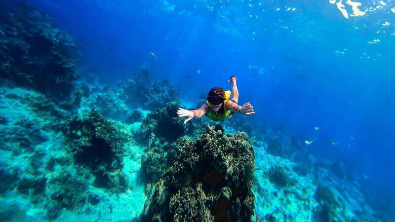 Cozumel: Transparent bottom boat tour and snorkeling activity. - Key Points