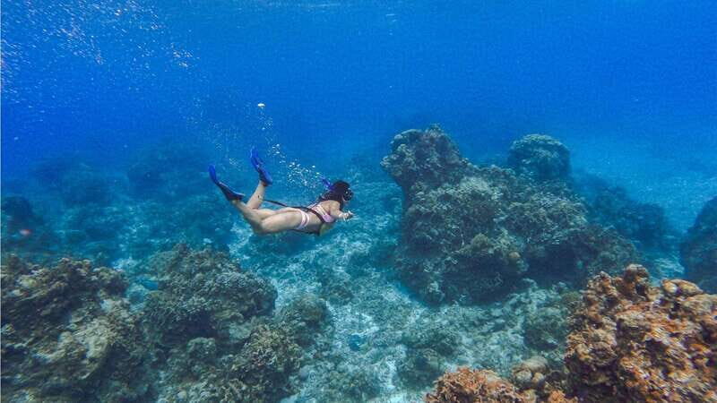 Cozumel: Transparent bottom boat tour and snorkeling activity. - An In-Depth Look at the Tour Experience