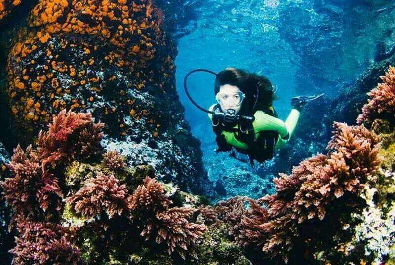 Cozumel: Twilight and Night Dive for Certified Divers - What’s Included and What to Consider