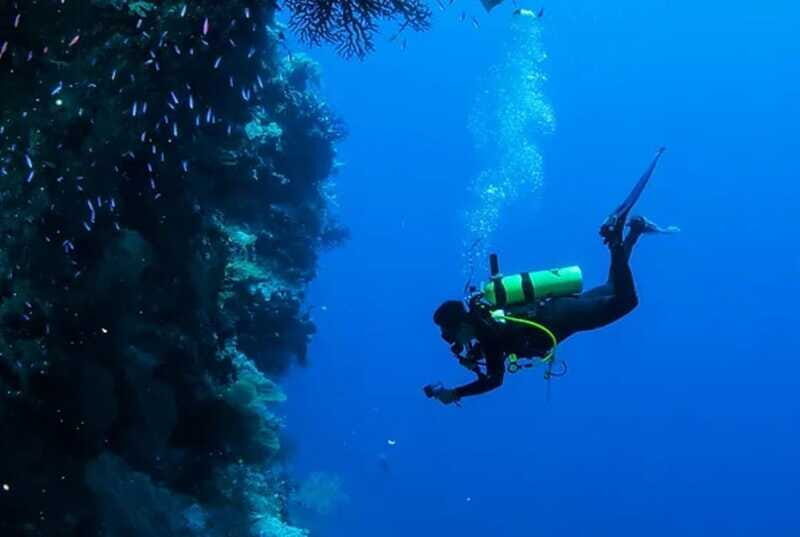 Cozumel: Twilight and Night Dive for Certified Divers - Who Should Consider This Tour?