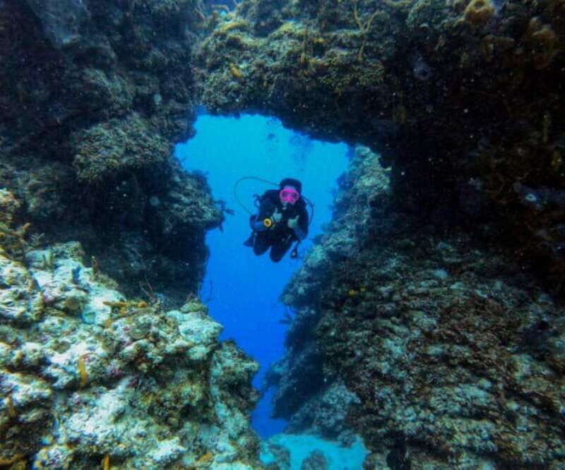 Cozumel: Two reef dives in Marine Park, certified divers - Our Takeaway for Potential Travelers