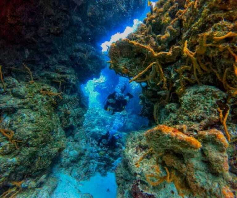 Cozumel: Two reef dives in Marine Park, certified divers - The Sum Up