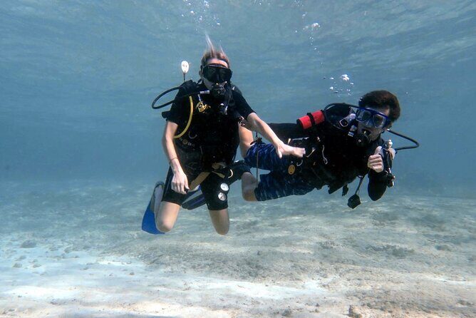Cozumel underwater 2 Tank Dive by boat - The Itinerary and What You Can Expect