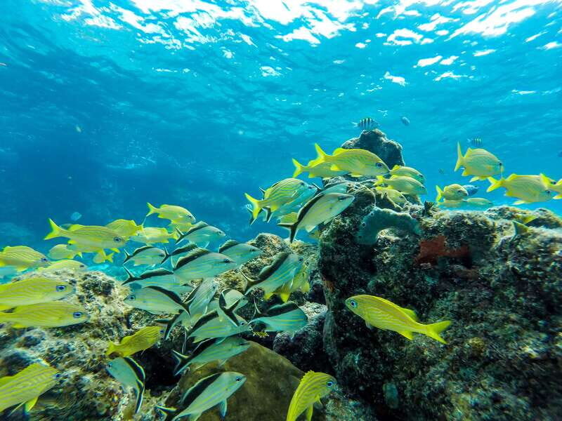 Cozumel: West Coast E-Bike and Snorkeling Tour - Practical Tips for Participants