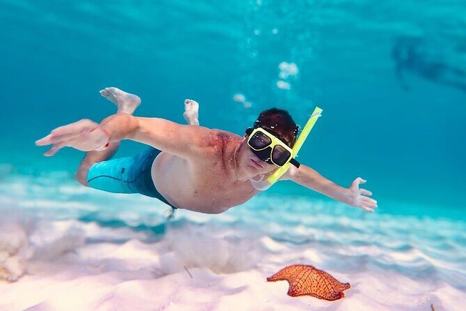 Cozumel's Best: Snorkel Adventure in El Cielo and El Cielito - The Practicalities: What You Need to Know