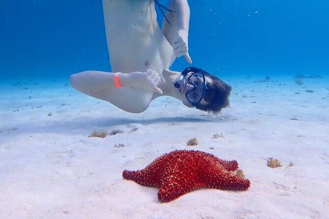 Cozumel's Best: Snorkel Adventure in El Cielo and El Cielito - Why This Tour Works Well